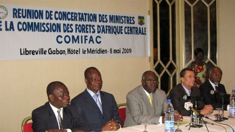 Les experts de la Comifac/Ceeac en réunion à Brazzaville - Journal de ...