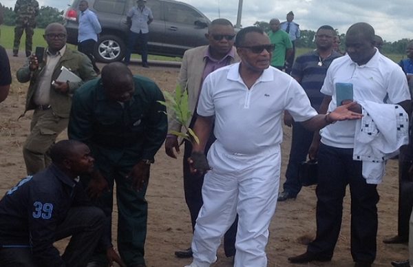 Le Congo célébrera la Journée nationale de l’arbre le 6 novembre ...