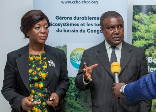Congo : Brazzaville va accueillir la décennie de l’afforestation en ...