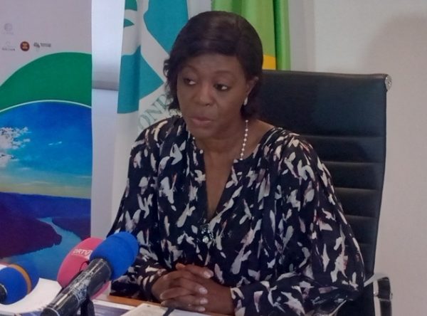 Congo-Sommet des trois bassins : huit ateliers vont meublés l’évènement ...